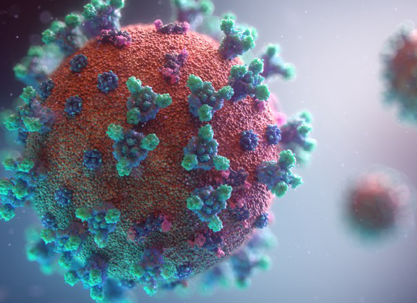 Her krizde bir kaos, her kaosta da bir uyum vardır!.. | BSH Kurumsal Blog